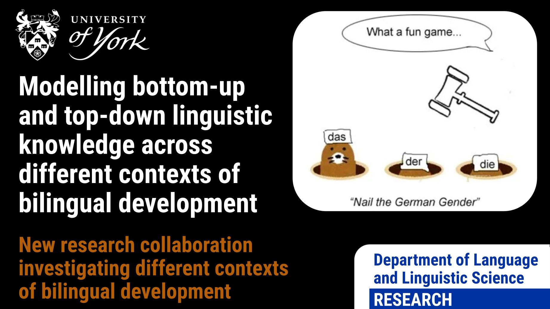 Project Modelling Bottom up And Top down Linguistic Knowledge Project Modelling Bottom up And Top down Linguistic Knowledge